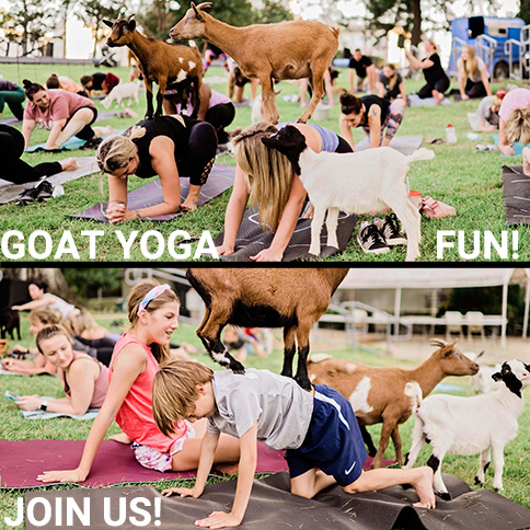 Home - Miss Rodeo Nevada Association